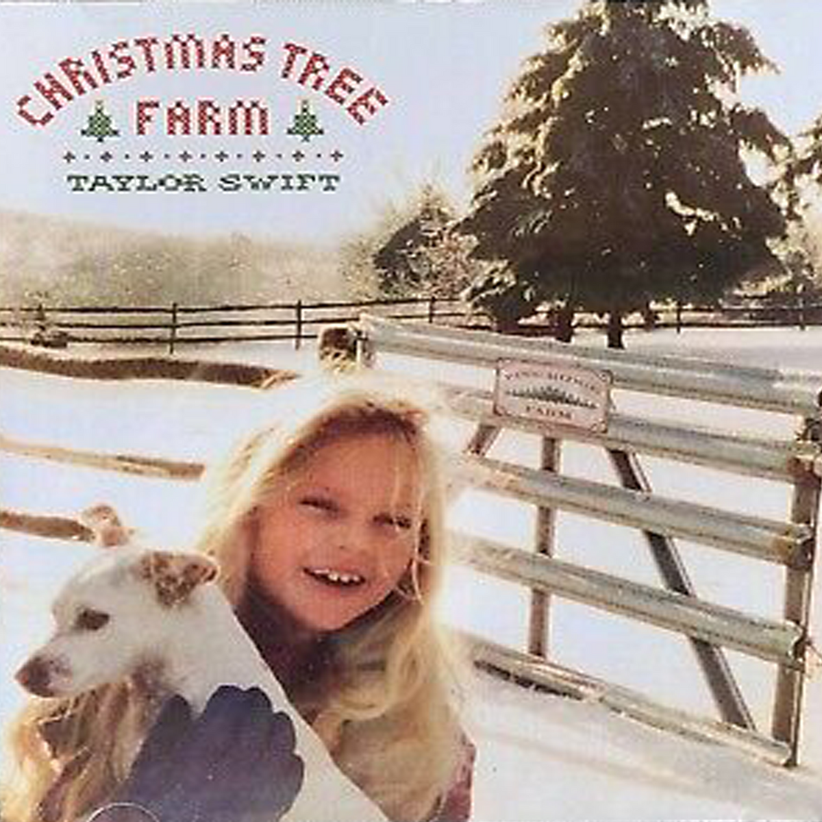 Taylor Swift - Christmas Tree Farm – BF Light Shows